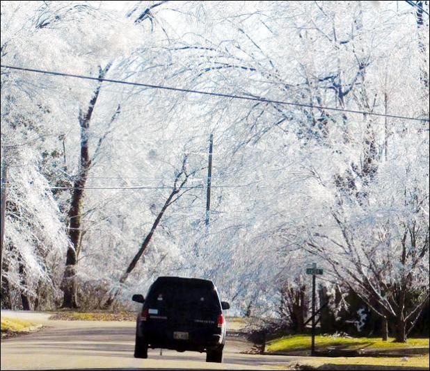 Scenes from Ice Storm 2023 | The South Reporter